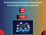 Linux chmod Command & Shell Variables Guide