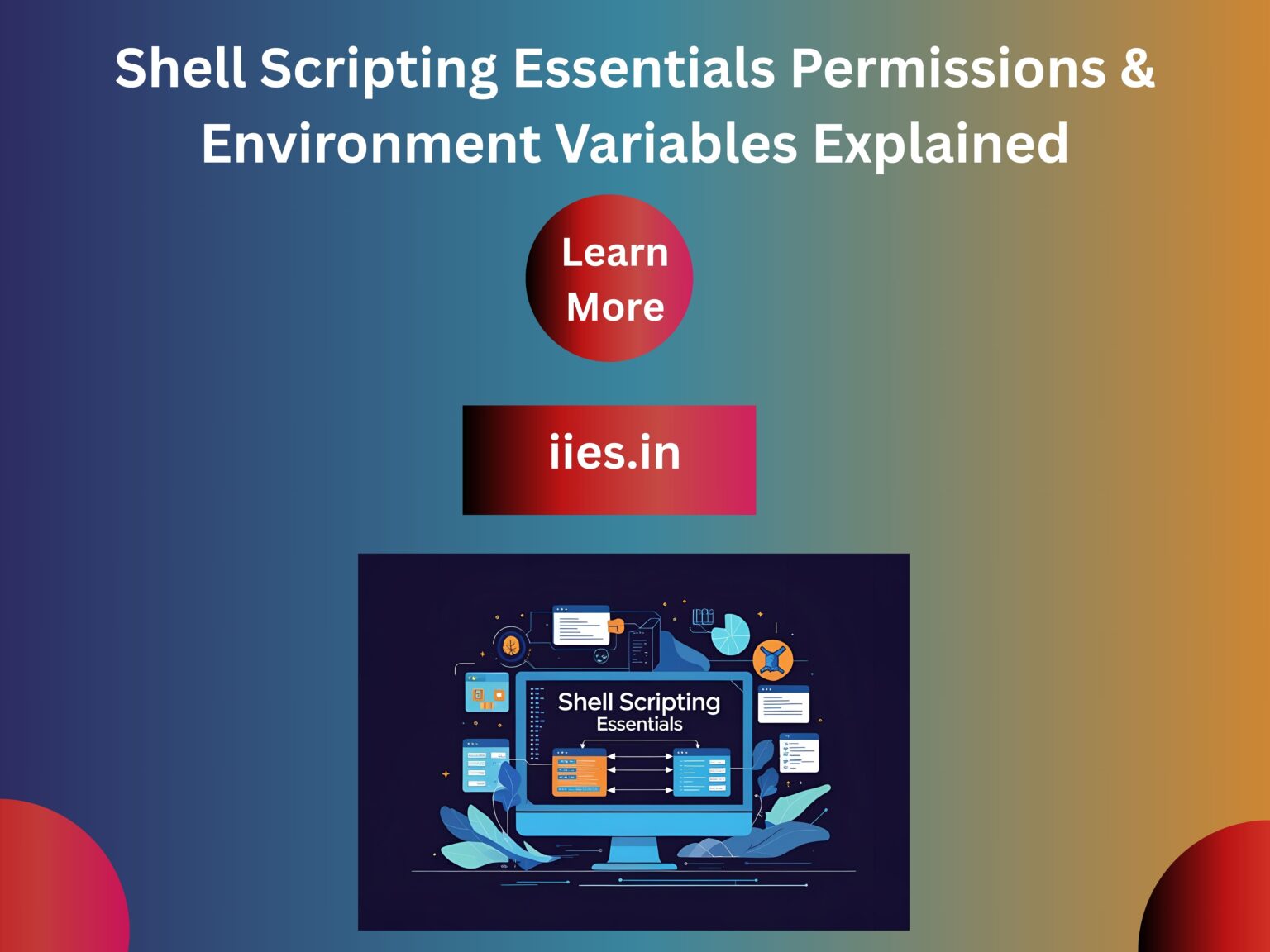 Linux chmod Command & Shell Variables Guide